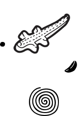 TAGADA PINK® : le bonbon rose et pétillant | HARIBO®